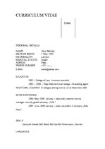 Curriculum Vitae / Paraugs / CV / ID: 152210