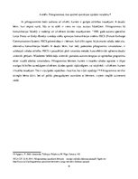 Piktogrāfiskā rakstība / Referāts / ID: 302598