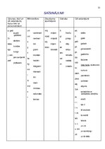 Atgādnes. Latviešu valoda / Konspekts / ID: 389154