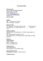 Curriculum Vitae / Paraugs / CV / ID: 569022