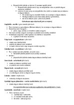 Anatomija. Balsta un kustību orgānu sistēma ... / ID: 812506