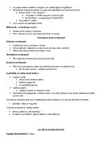 Anatomija. Balsta un kustību orgānu sistēma ... / ID: 812506