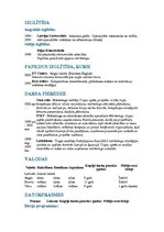 Curriculum Vitae / Paraugs / CV / ID: 820996